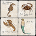 Athenaeum Sea Life III Coasters - Ocean Offerings