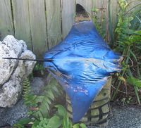 Fiberglass Fish Mounts | Replica Taxidermy | Fish Mount Replicas