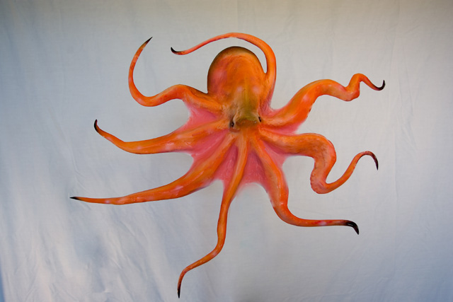 Octopus Mount | Octopus Replica | Fiberglass Replicas