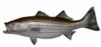 Fiberglass Fish Mounts | Replica Taxidermy | Fish Mount Replicas