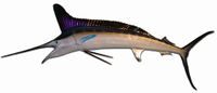 Fiberglass Fish Mounts | Replica Taxidermy | Fish Mount Replicas