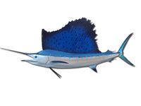 Fiberglass Fish Mounts | Replica Taxidermy | Fish Mount Replicas