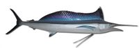 Fiberglass Fish Mounts | Replica Taxidermy | Fish Mount Replicas