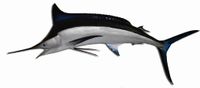 Fiberglass Fish Mounts | Replica Taxidermy | Fish Mount Replicas
