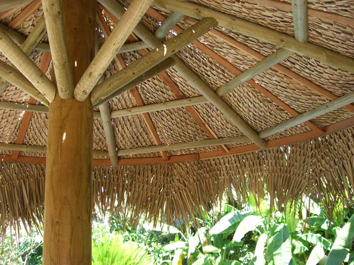 Palapa Umbrellas for Sale | Palapa Tops | Thatched Umbrella
