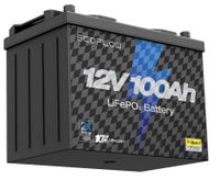 EcoFlow Lithium 12V 100Ah Deep Cycle LiFePO4 Battery