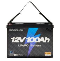 EcoFlow Lithium 12V 100Ah Deep Cycle LiFePO4 Battery