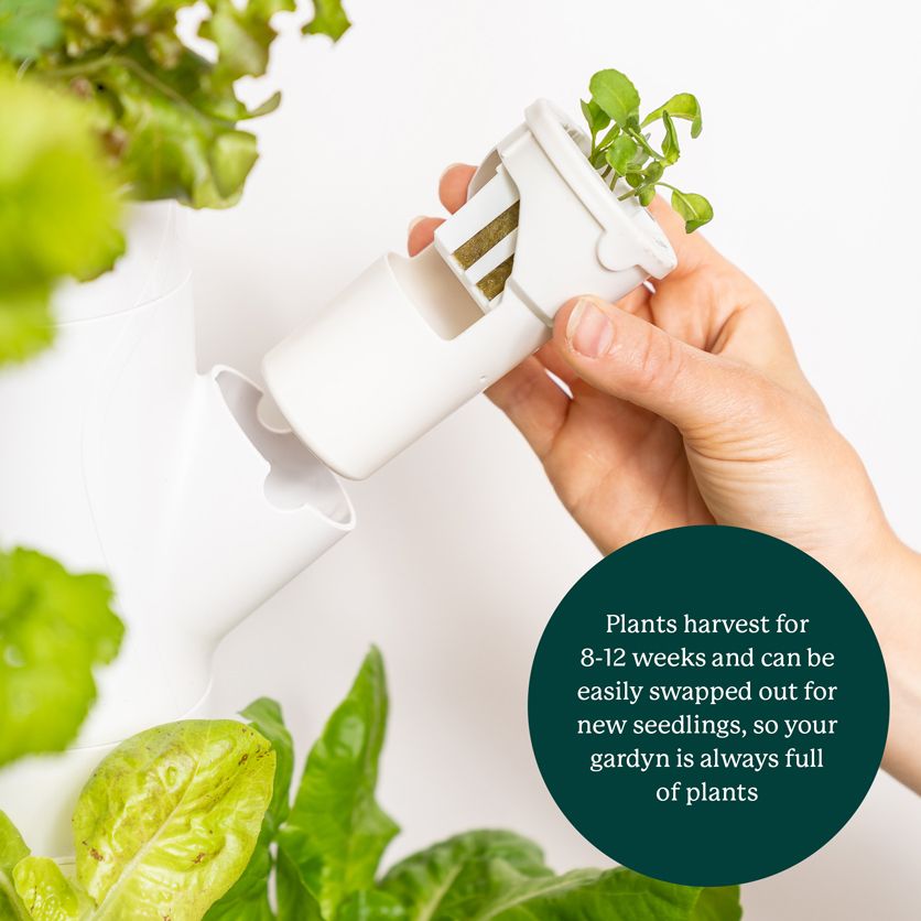 Gardyn Home Kit 3.0 - Indoor Garden Kit