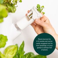Gardyn Home Kit 3.0 - Indoor Garden Kit