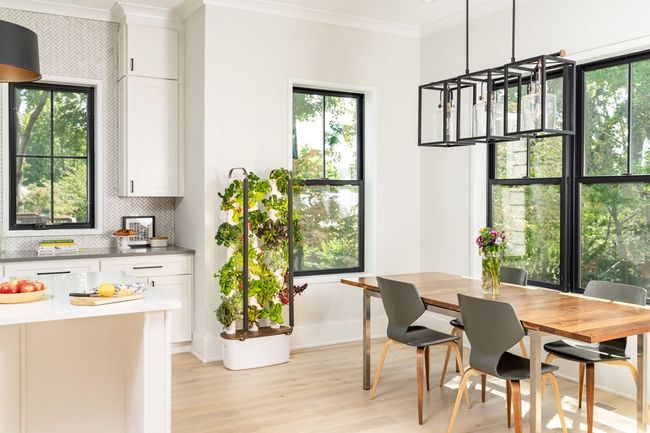 Gardyn Home Kit 3.0 - Indoor Garden Kit