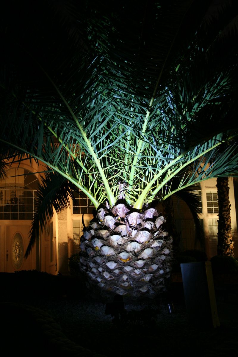 High Output Solar Spot Light - White Light