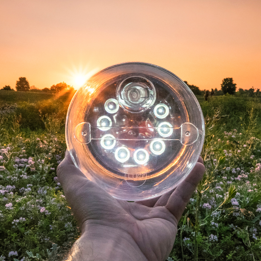 Luci Original Inflatable Solar Light