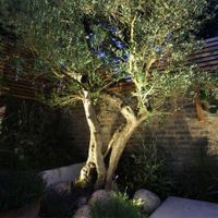 Premium Dual Solar Spotlight Kit with Dual Heads & Wireless Remote