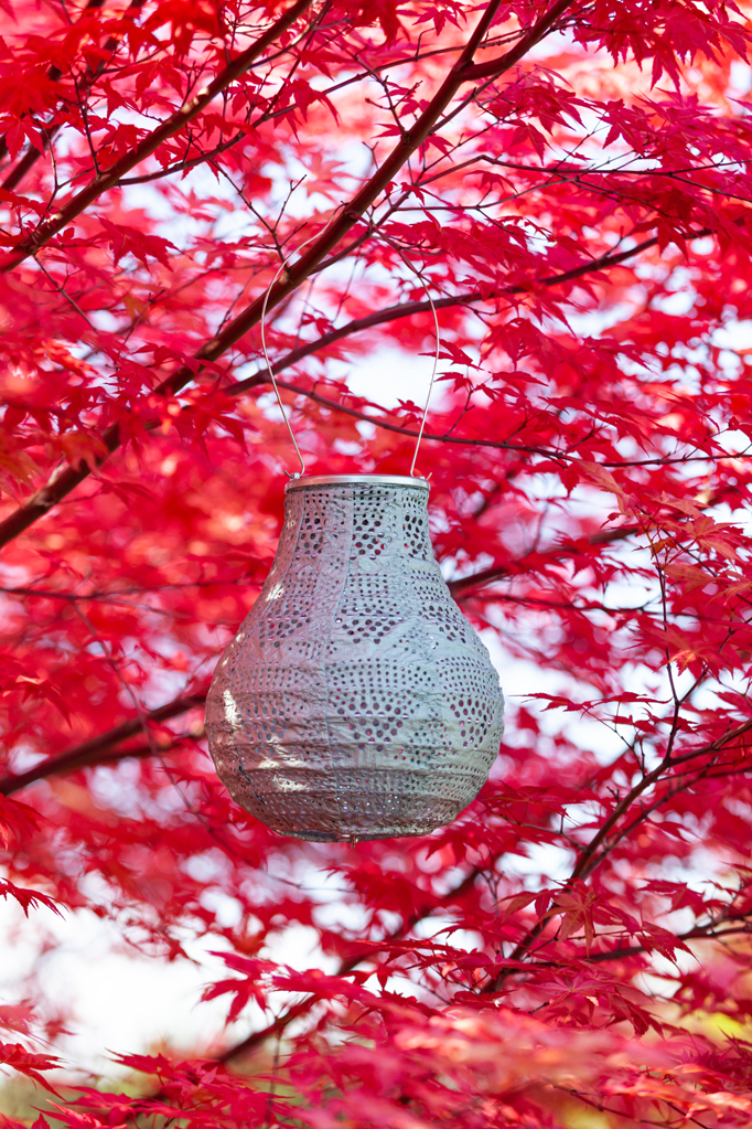Soji Stella Bulb - 8 Inch Solar Lantern in Sage