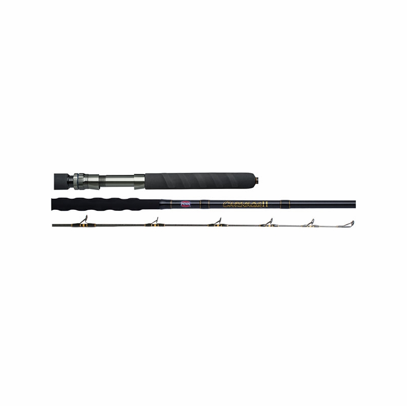 Penn Carnage II Spinning Rod 2-Pcs