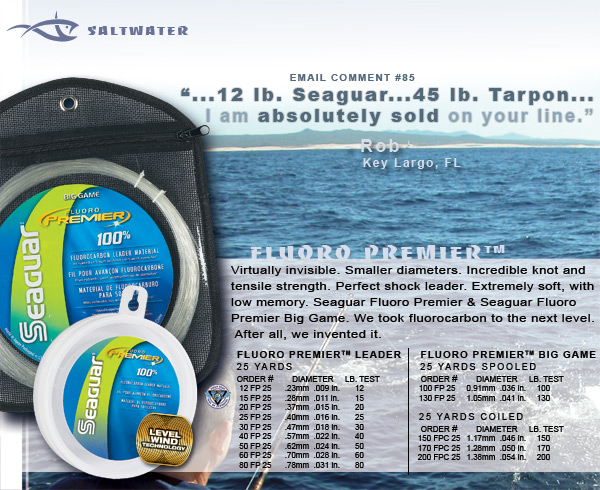 Seaguar Premier Fluorocarbon Leader
