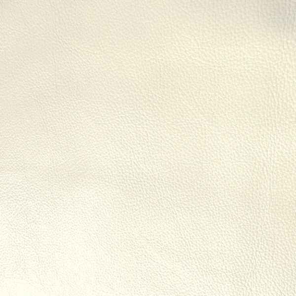 Catarina White Leather Hide