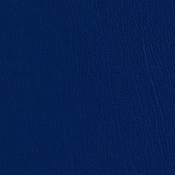 ColorGuard Regal Blue