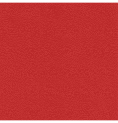 Automotive Revolution Soft Vinyl Upholstery