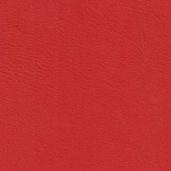 Revolution Corinthian Torch Red