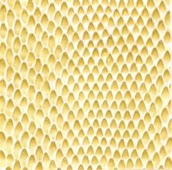 Skintex SF Exotic "Buff"