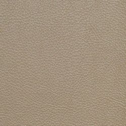 Symphony Classic Morel