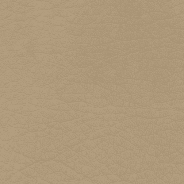 Whisper Neo Plus Vinyl Camel